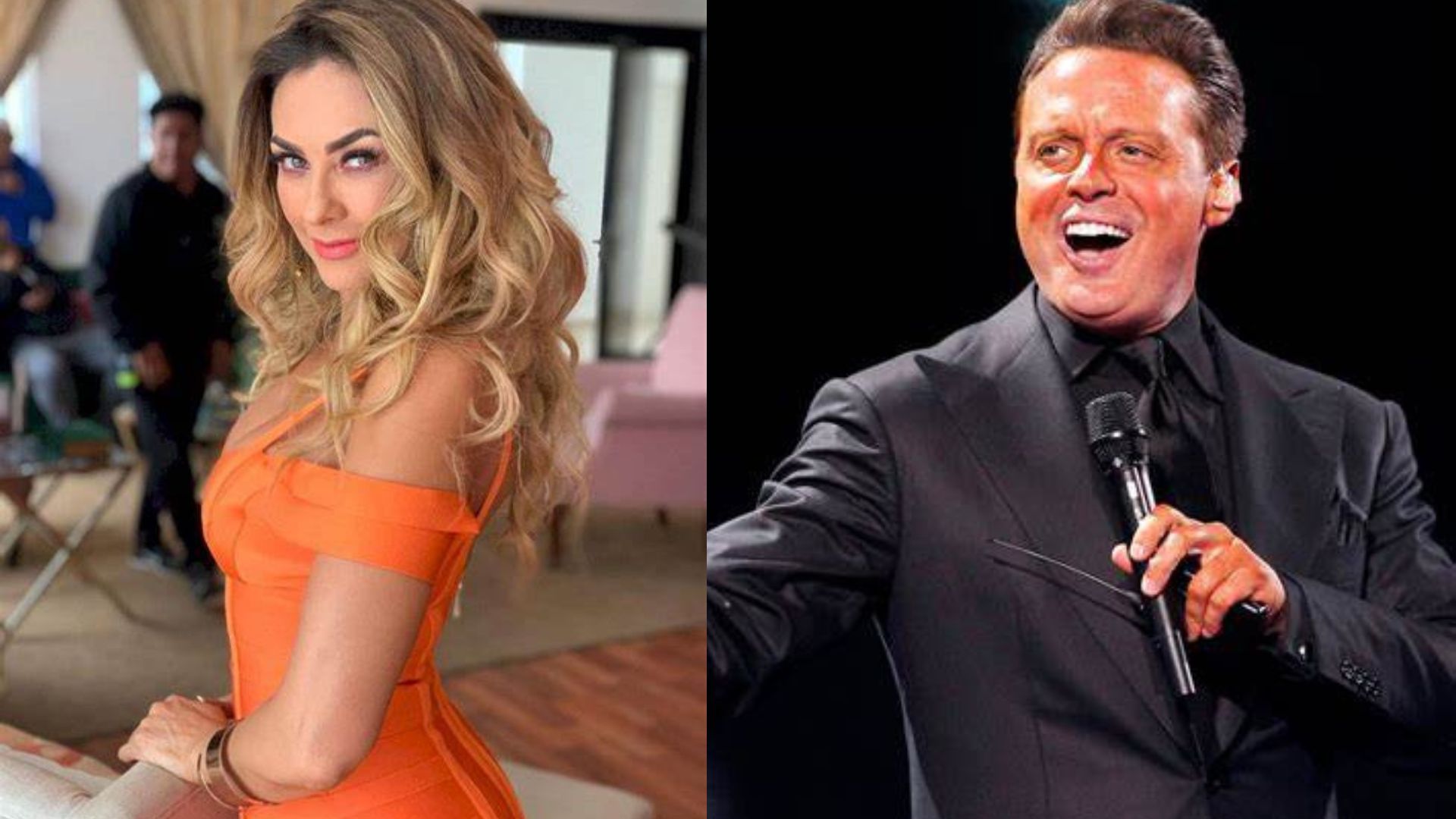 Después de su concierto en México, Luis Miguel se reencontró con sus hijos, y Aracely Arámbula ...